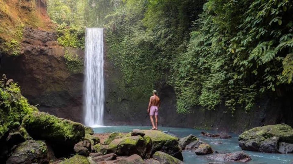 Ubud: Waterfalls, Water Temple, & Rice Terraces Private Tour : The Gay ...