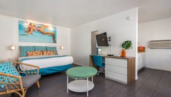 Elita Hotel: New 2024 Review : The Gay Passport