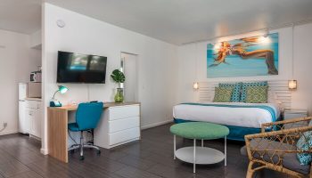 Elita Hotel: New 2024 Review : The Gay Passport